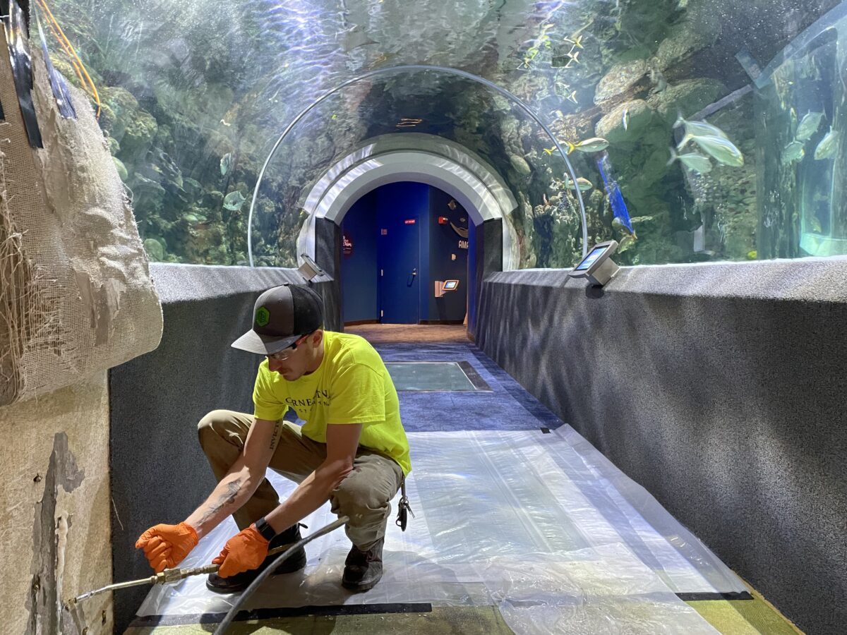 Resolving Water Intrusion: A Cornerstone Restoration Case Study